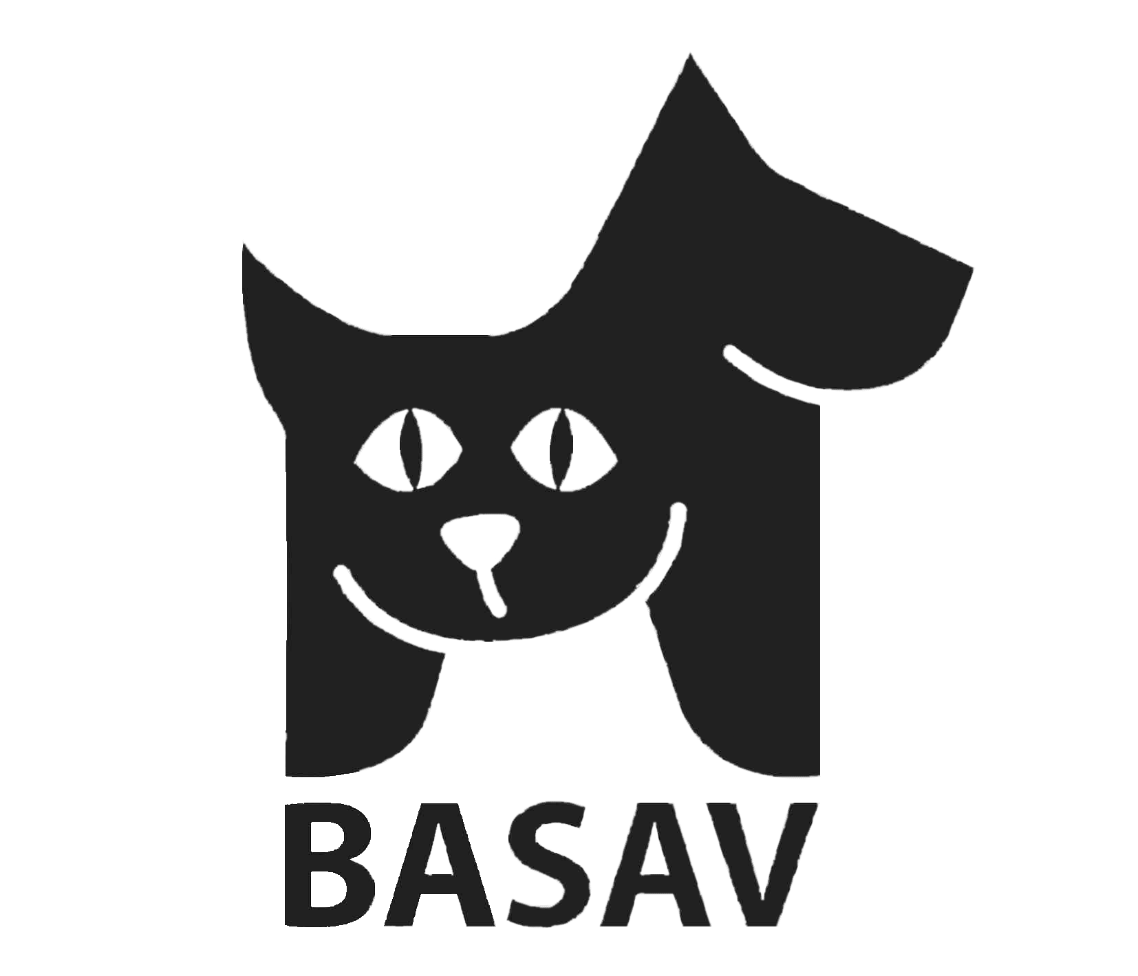 Контакти – BASAV.ORG
